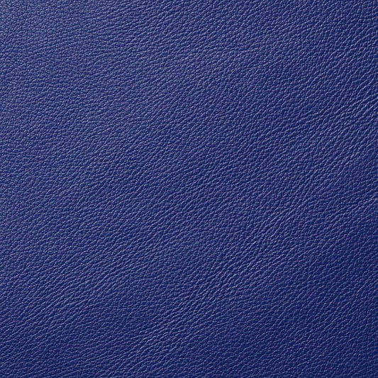 Royal Blue Motorcycle Leather - Wholesale Leather Hide Supplier ...